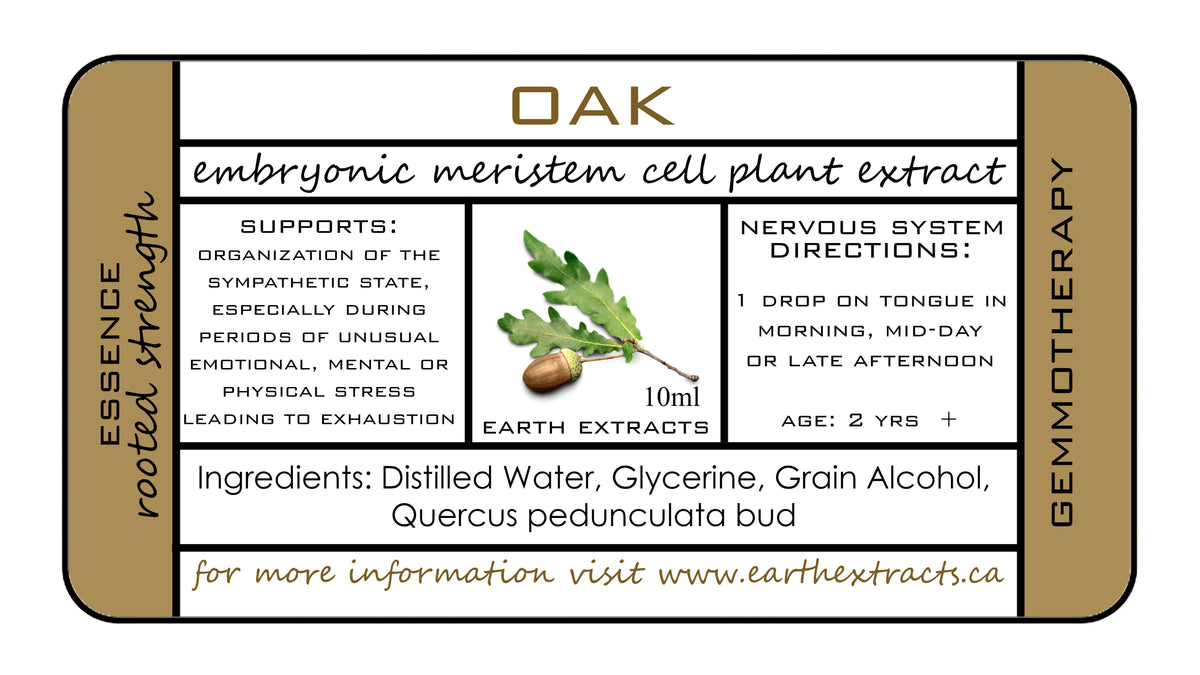 Gemmotherapy Nervous System Extracts – Earth Extracts